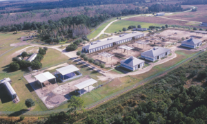 Feld History - Feld Entertainment